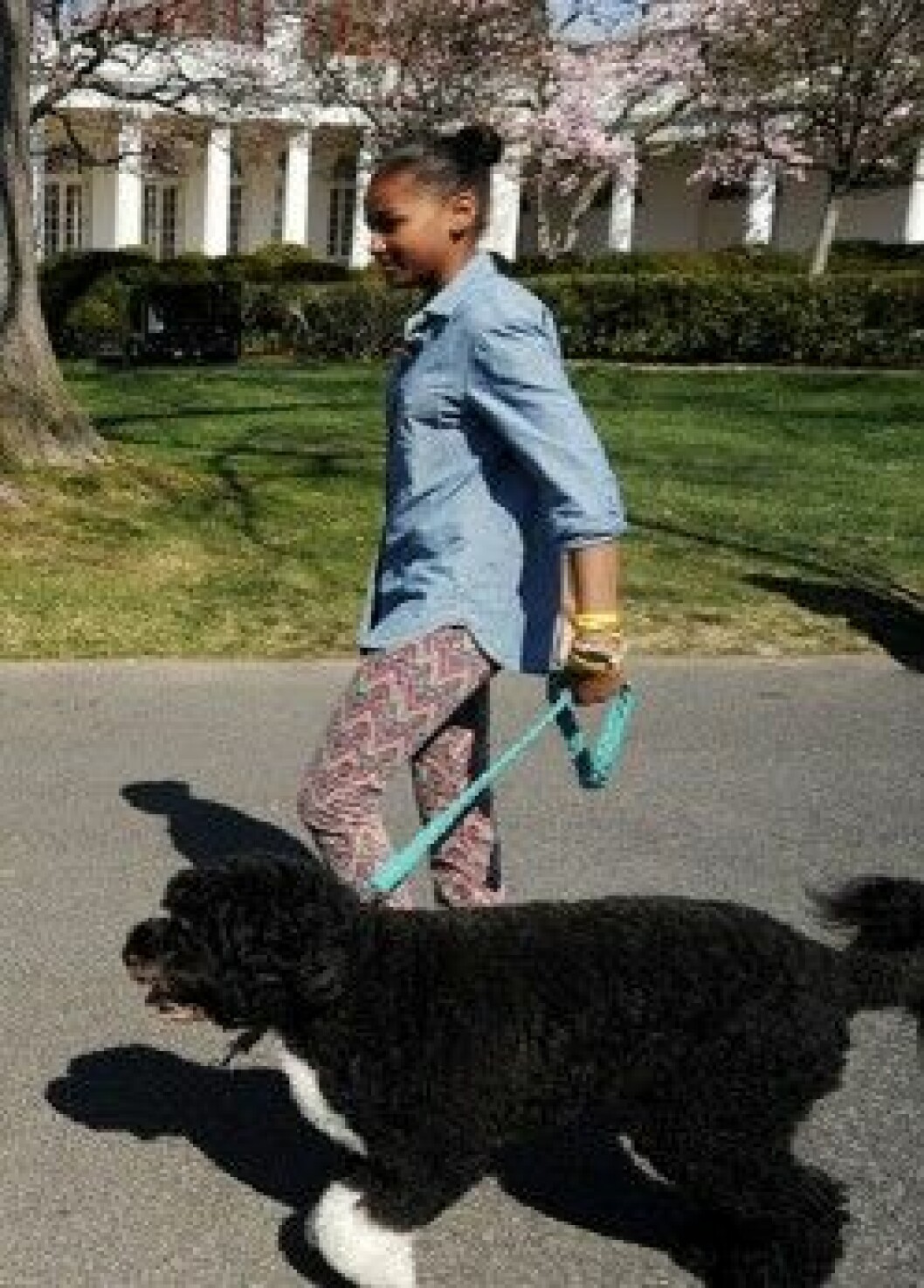 Obama har skaffat en ny hund | Svensk Dam